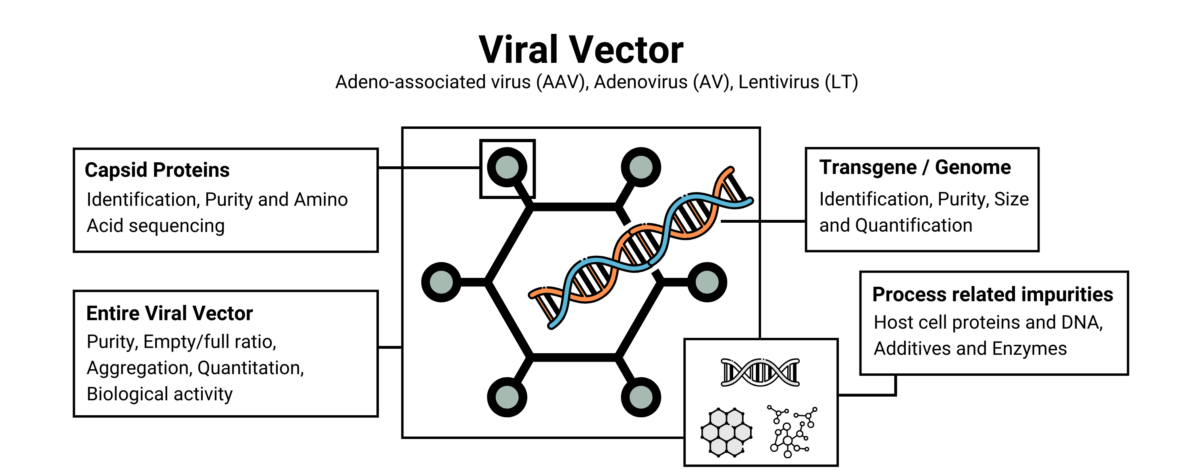 Viral Vector Characterization - Kymos Group